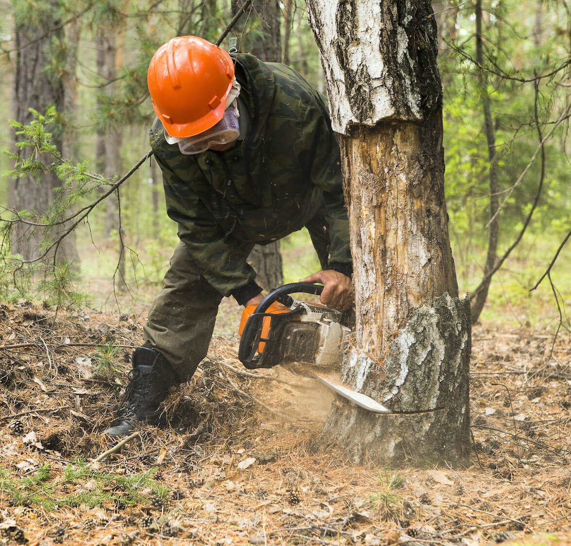 FAQ - AAA Emergency Tree Service